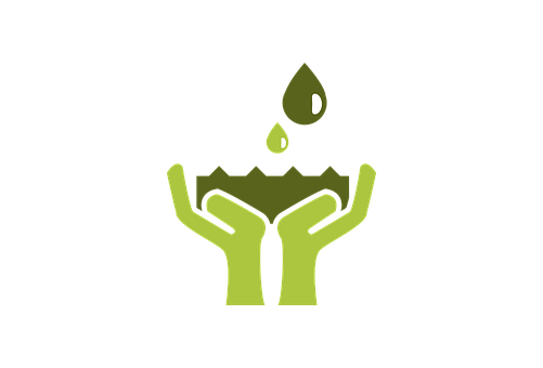 An Eco-Friendly Mindset – SAMcef